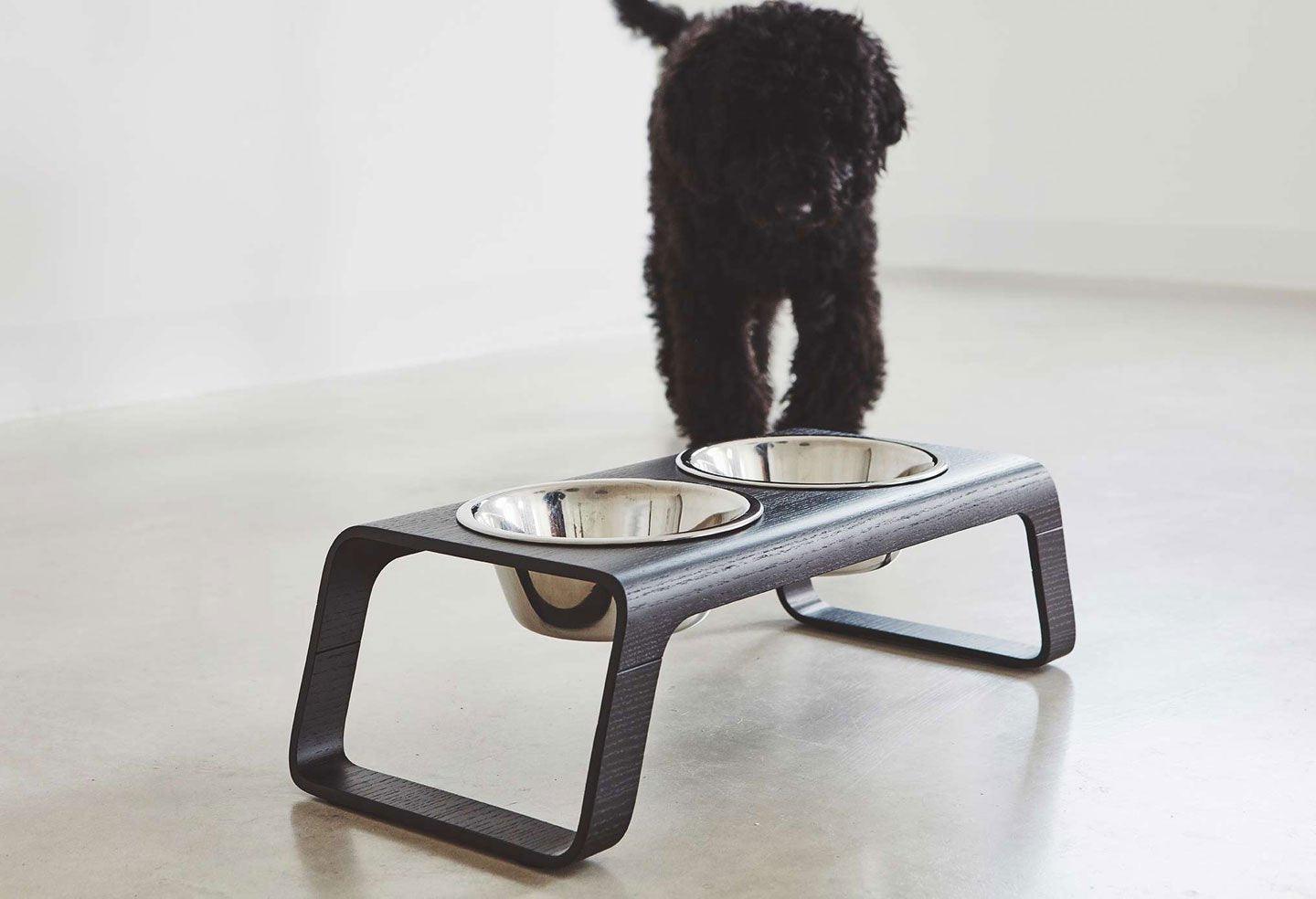 Gamelles design pour chien : confort et style pour votre compagnon