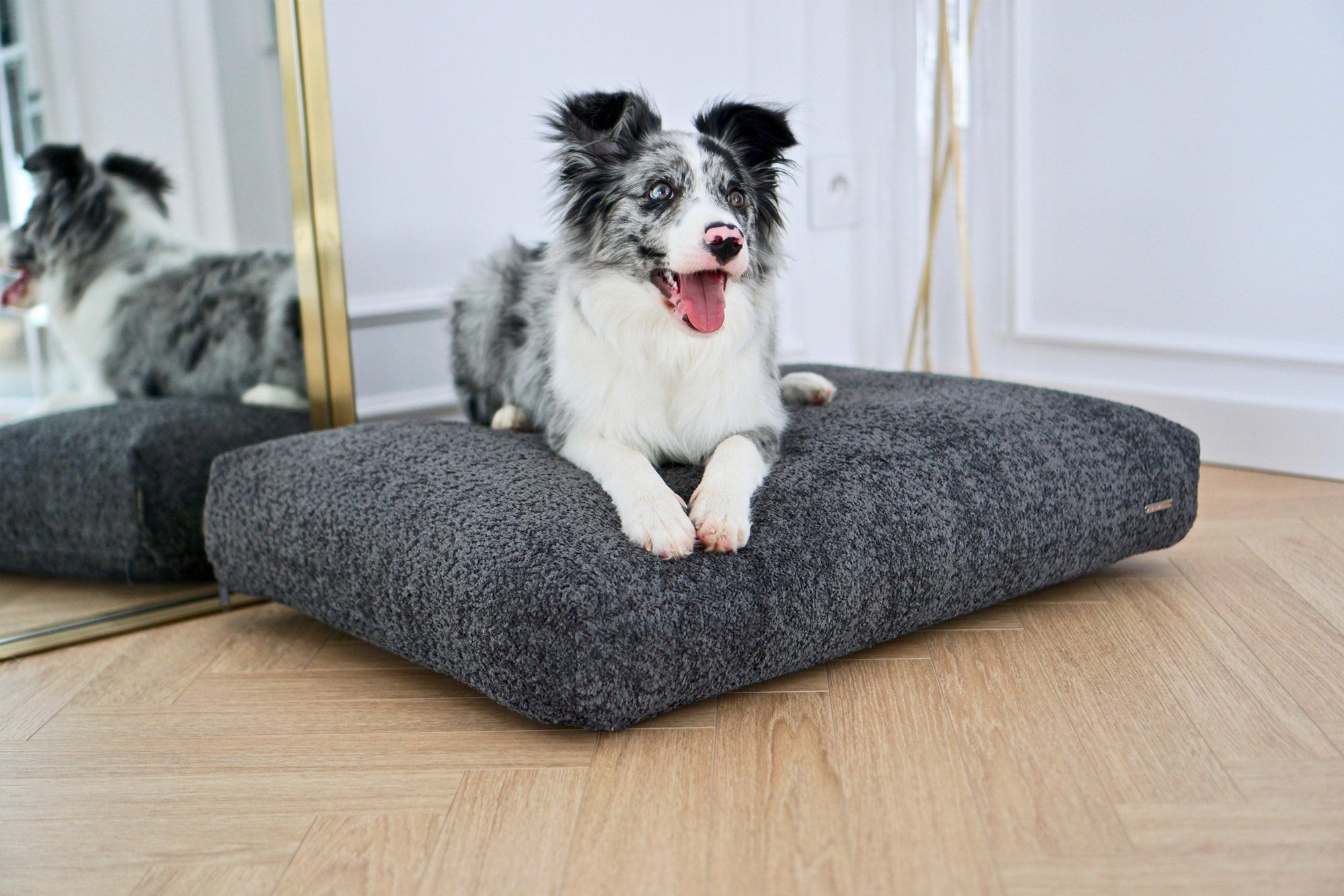 Coussin anti stress pour chien - Coussin tissu bouclette - Kasibe.shop