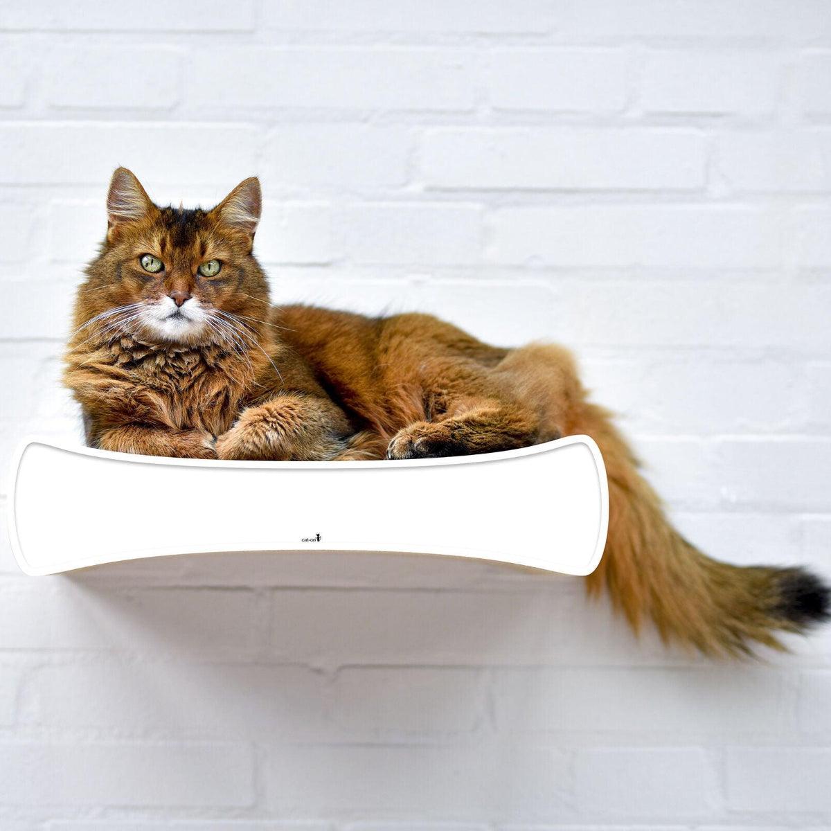 Griffoir mural pour chat - Mobilier modulable en carton - Kasibe.shop
